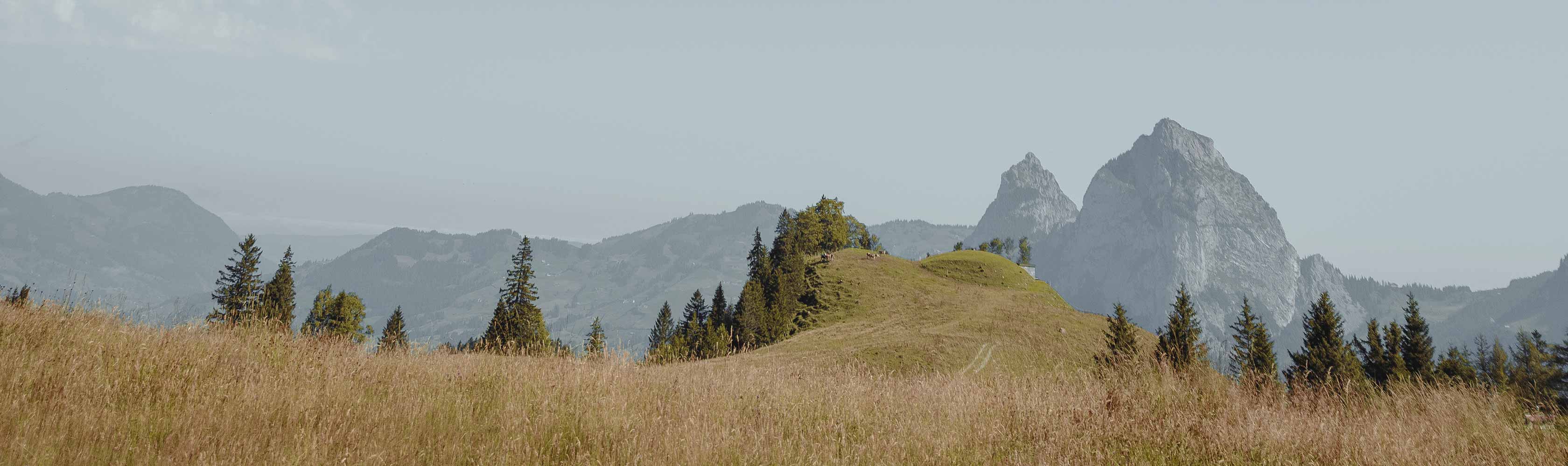 Notifying a death - CONCORDIA